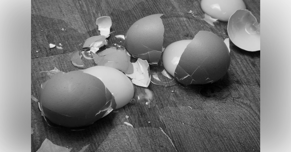 Woman sues Ocala Sam's Club over slip-and-fall on broken eggs - Ocala ...