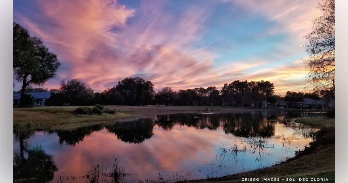 'Pretty In Pink' Sunset At Oak Run - Ocala-News.com