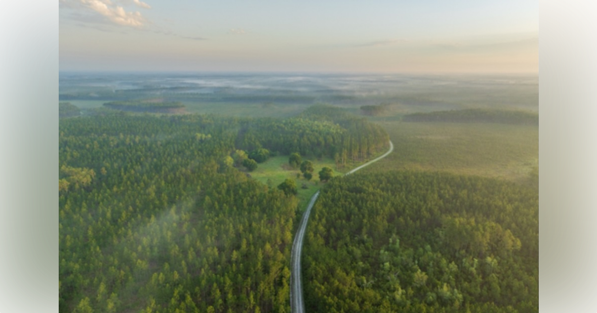 Officials approve protection of 78,000 acres within Ocala-to-Osceola ...