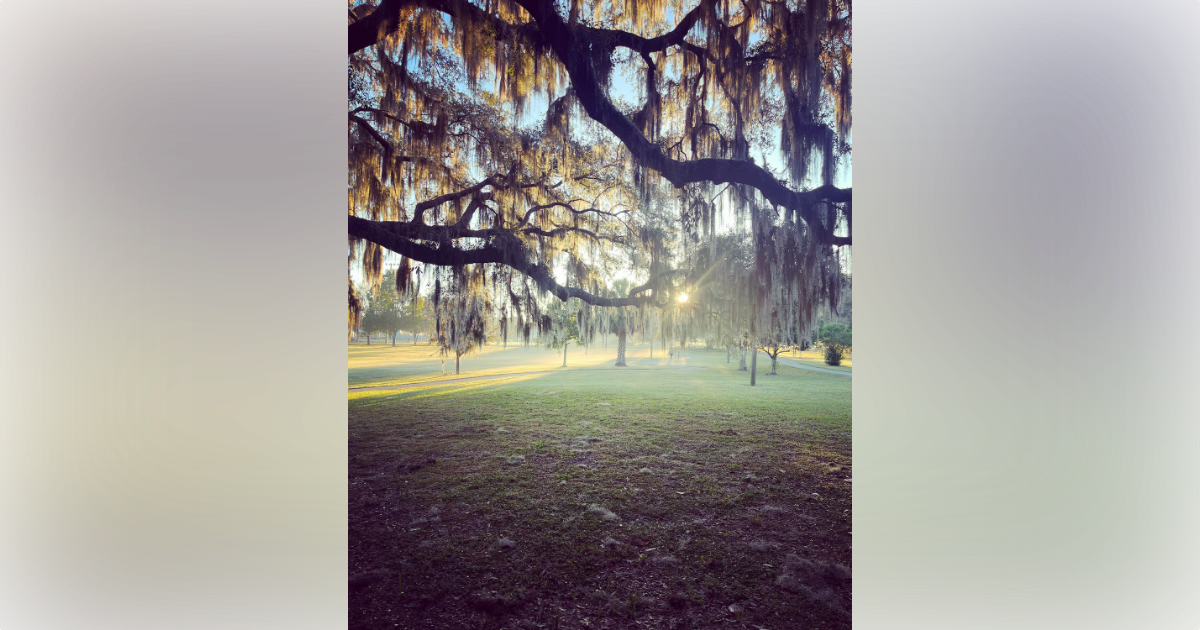 Beautiful morning at Jervey Gantt Recreation Complex - Ocala-News.com