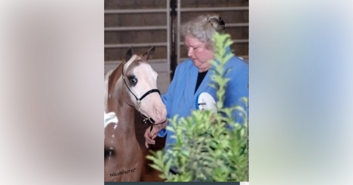 Beverly Anne Ayer - Ocala-News.com
