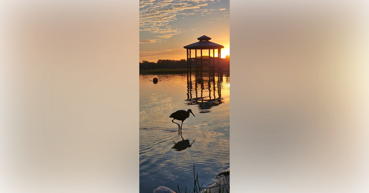 Beautiful sunrise over Lake Hernando - Ocala-News.com