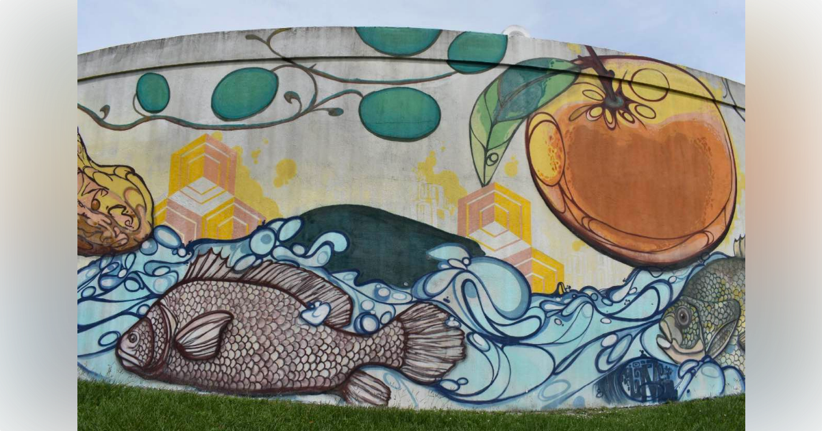 Ocala officials looking to remove public murals, artworks that have ...